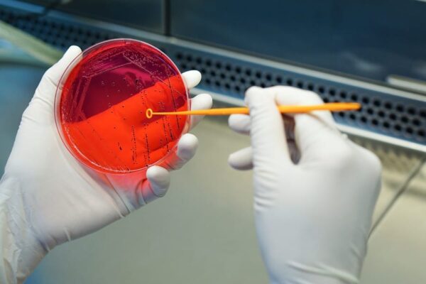 Preventing Ice Contamination with Safe Practices – Easy Ice